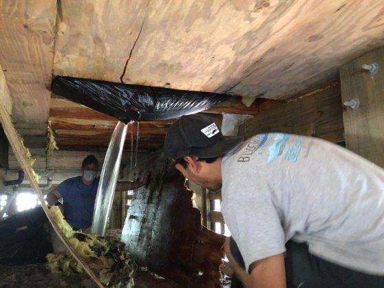 Disaster Services & Restoration - Water Fire Mold Biohazard in NC