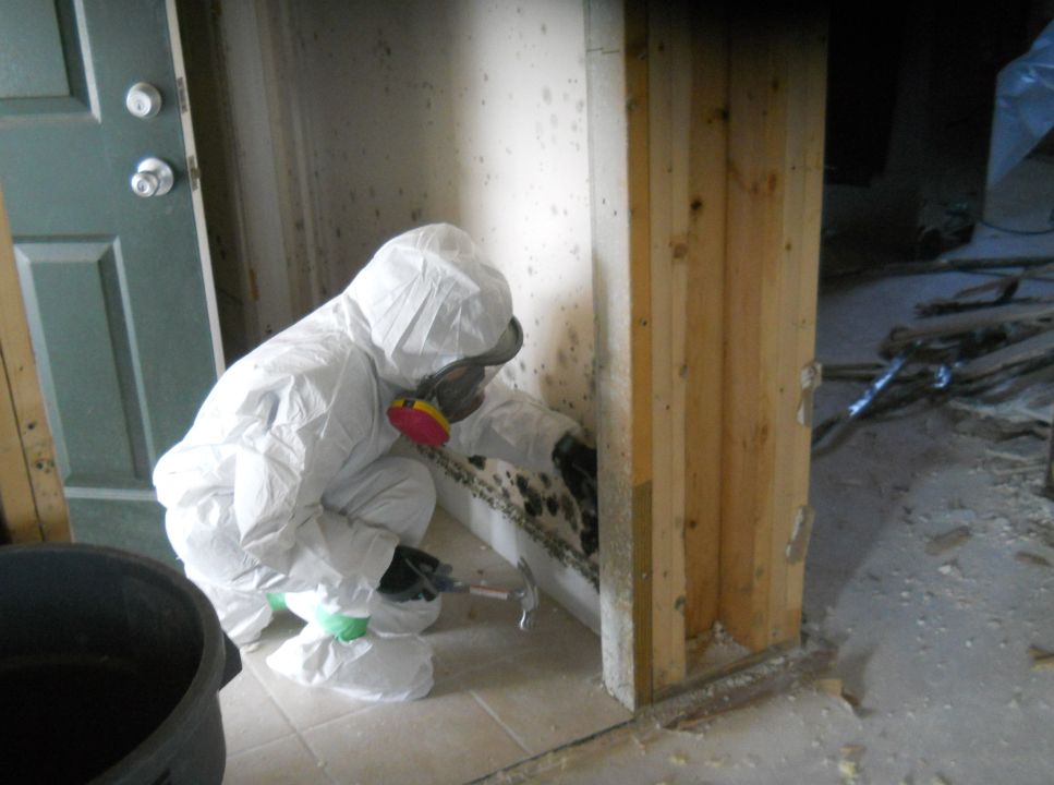 Disaster Services & Restoration - Water Fire Mold Biohazard in NC